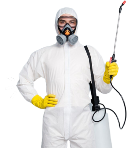 Pest Control Services Rancho Cucamonga | Local Pest Control Company ...
